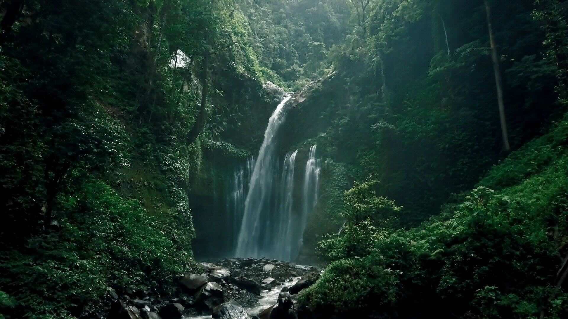 Automate your environmental reporting - Start using NEMS Accounter